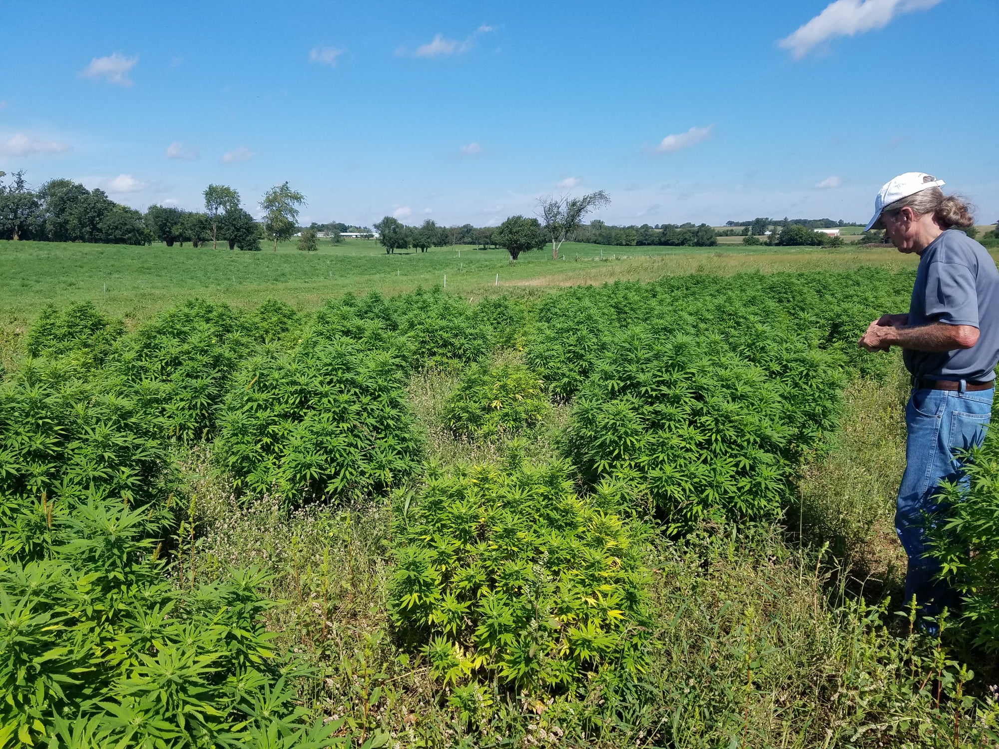 Ag - About – Purple Cow Organics