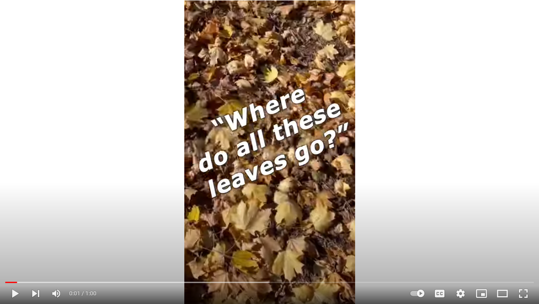 Garden Center - Activated Compost – Purple Cow Organics