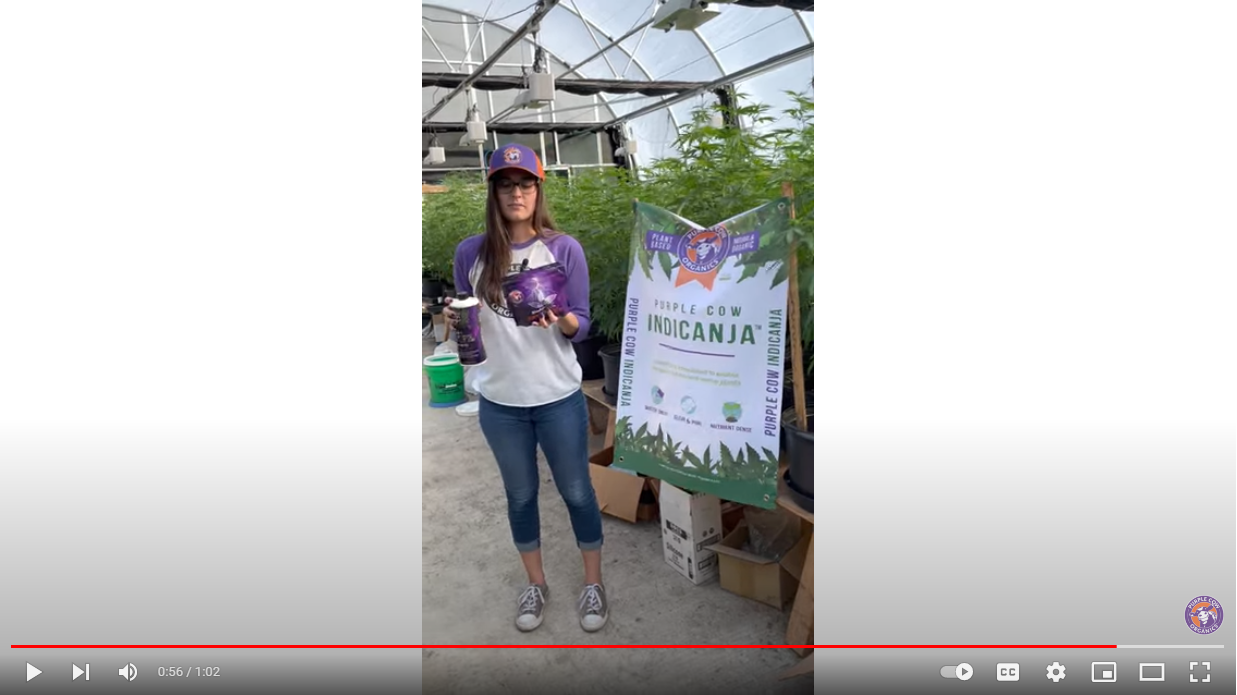 Garden Center - BIOACTIVE Liquid Biology Bundle – Purple Cow Organics