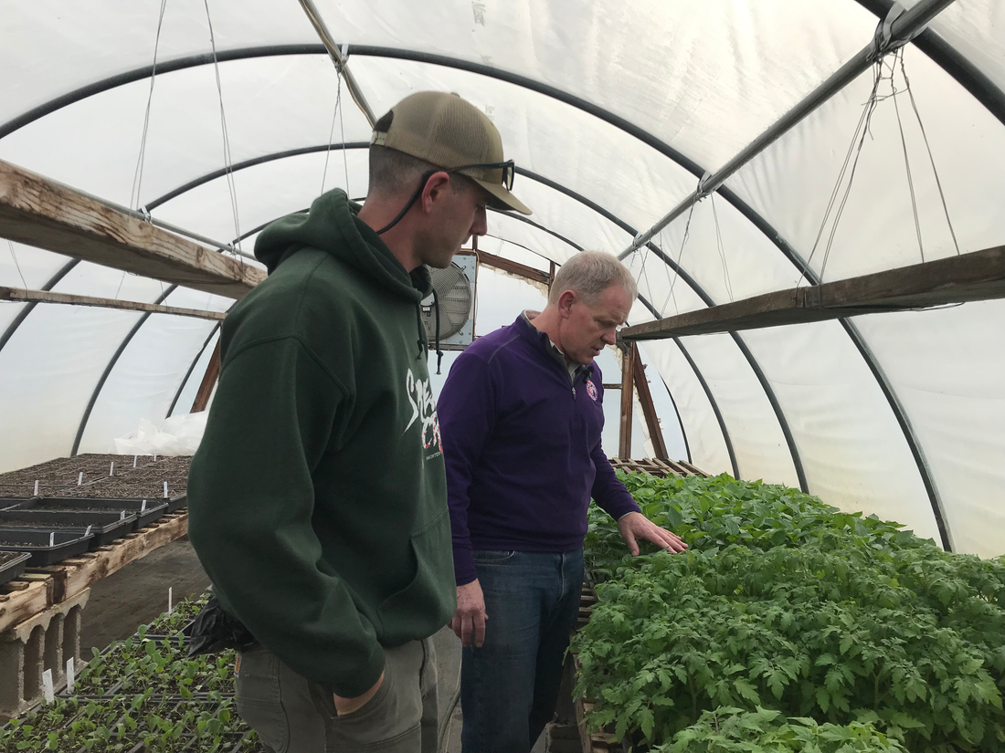 Buy Organic Compost Soil - Purple Cow Organics